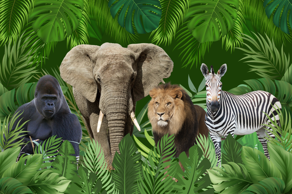 Buy tickets to the Warsaw Zoological Garden!